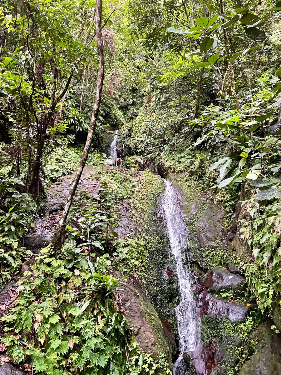 Island Life: A Waterfall Hike – Dear Disha